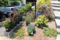 Why Landscape Design for Plant Collectors is So Haaaaaaaaard (and How ...