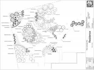 Virginia Landscape Design with Native Plants