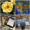 Plants Map: because paper gets wet and we forget stuff - Revolutionary ...