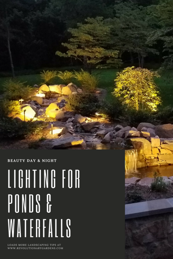 Lighting for ponds and waterfalls - Revolutionary Gardens