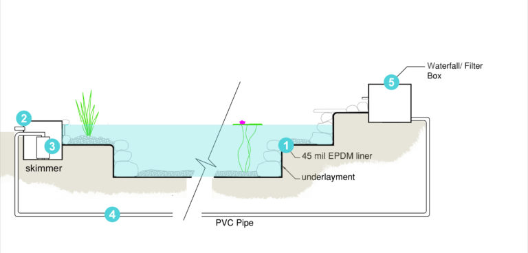 Revolutionary Gardens - Landscape Design Blog