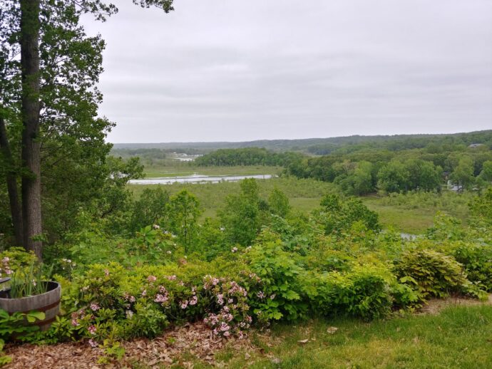 Principles of Design: Prospect/Refuge, Panorama, Vista, and Deflected ...