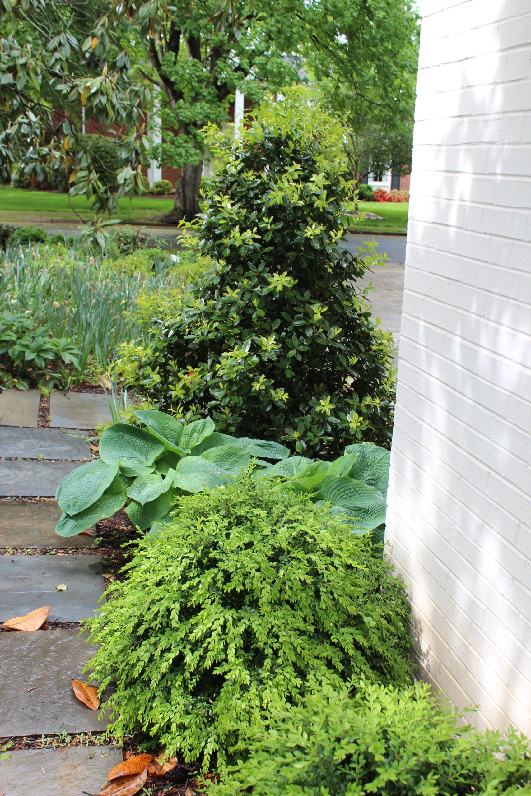 Principles of Design: Texture, Above/Below, Here/There, and Threshold ...